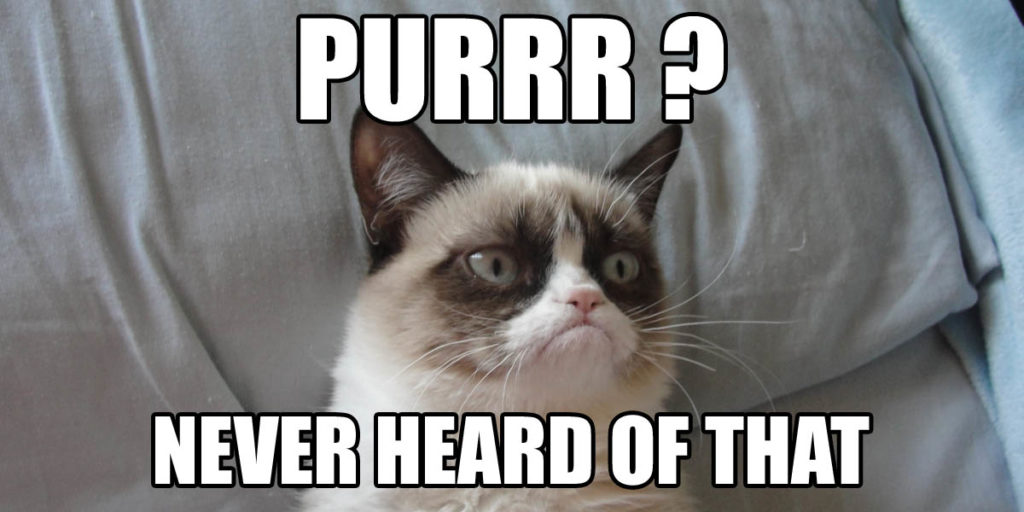 Un code qui ronronne avec purrr - ThinkR - Certification & Formation ...