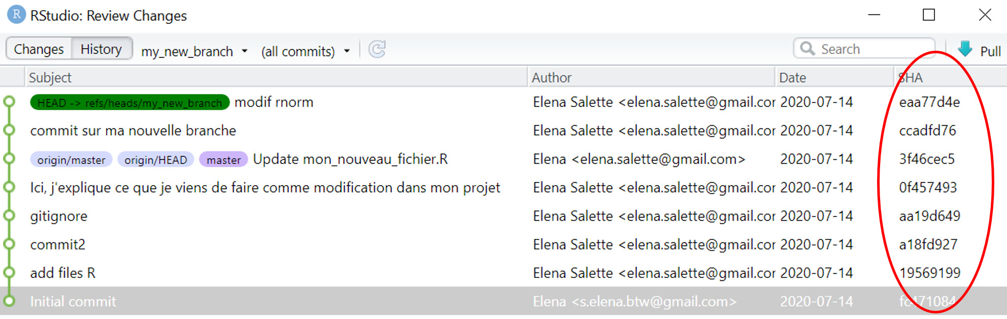 Travailler avec Git via RStudio et versionner son code - ThinkR ...